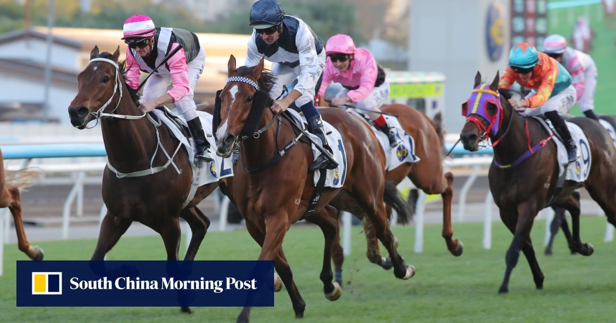 Classic Mile top 10: Invincible Ibis, Sagacious Life lead early ...