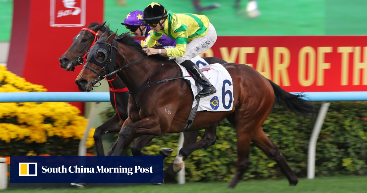 David Eustace and Dylan Browne McMonagle combine with solid chances at ...