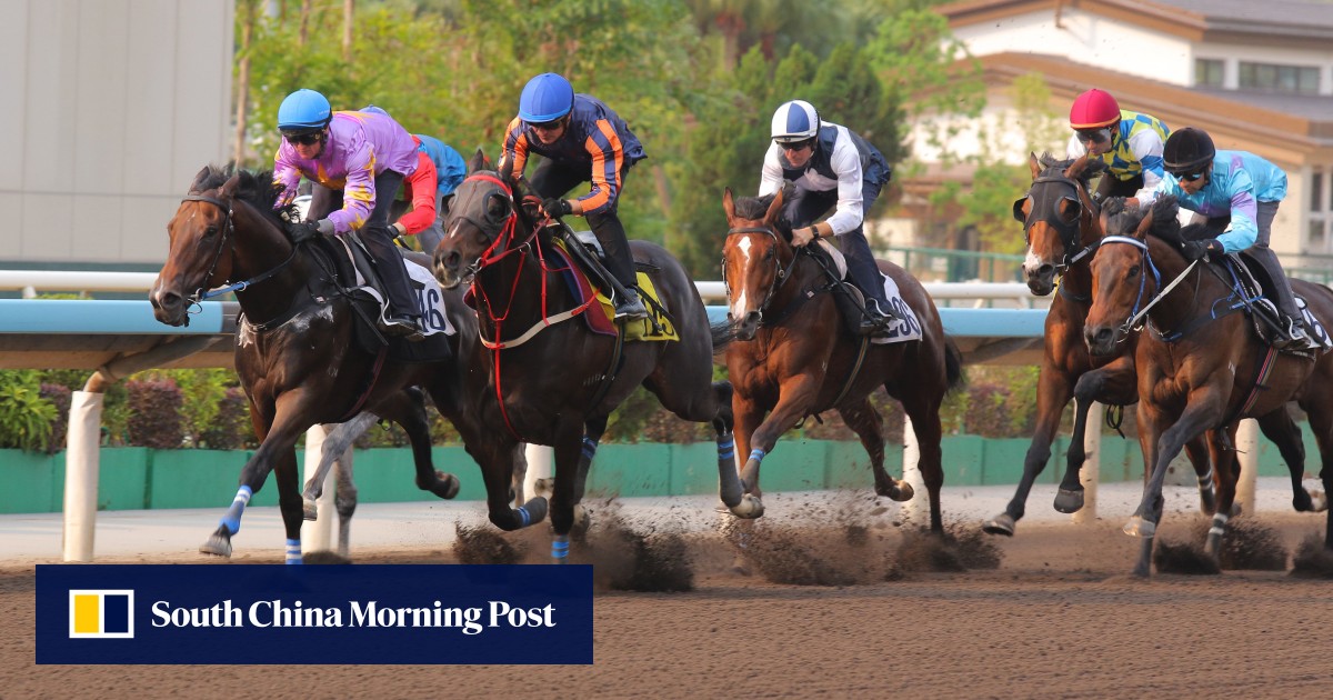 Invincible Ibis and Little Paradise please Mark Newnham and Zac Purton ...