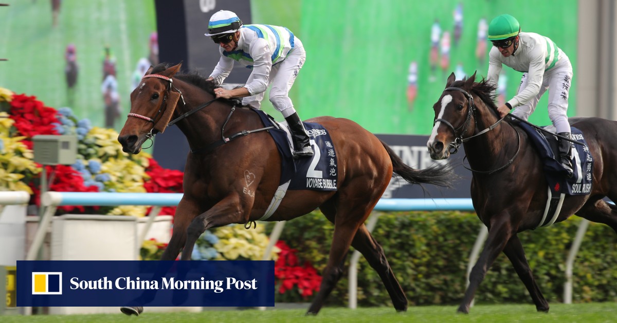 Six-time Group One winner Voyage Bubble and Sunlight Power under a ...