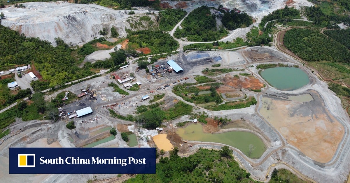 Tropical rainforest loss eases after record year, but still ‘11 ...