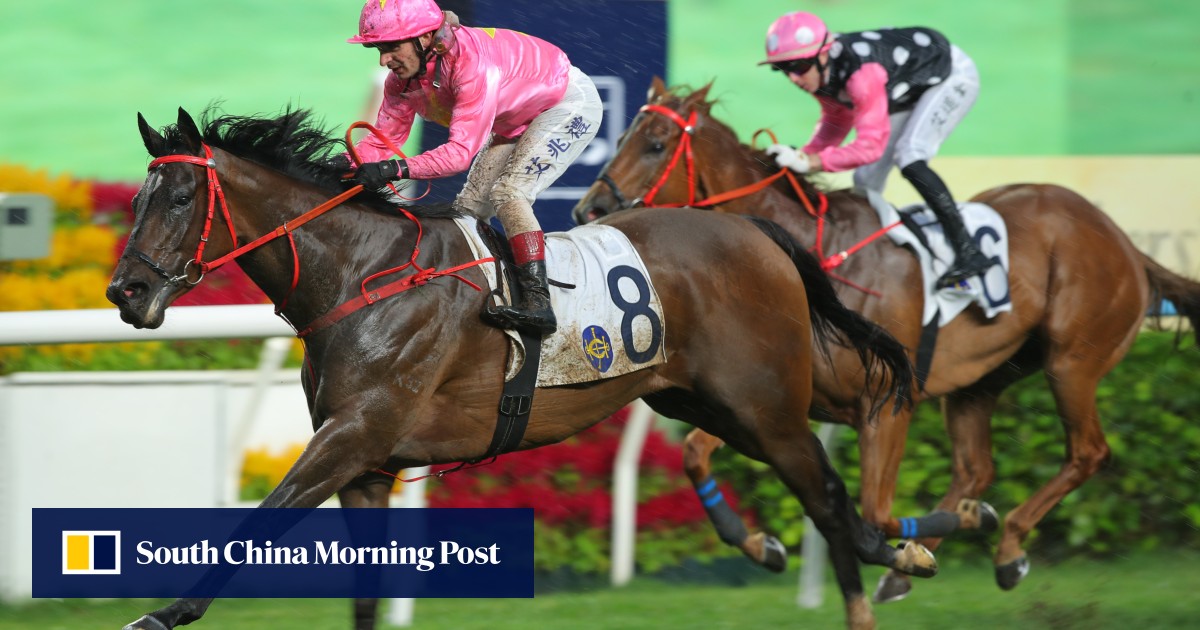 Andrea Atzeni eyes Group Three double on exciting galloper Sky ...