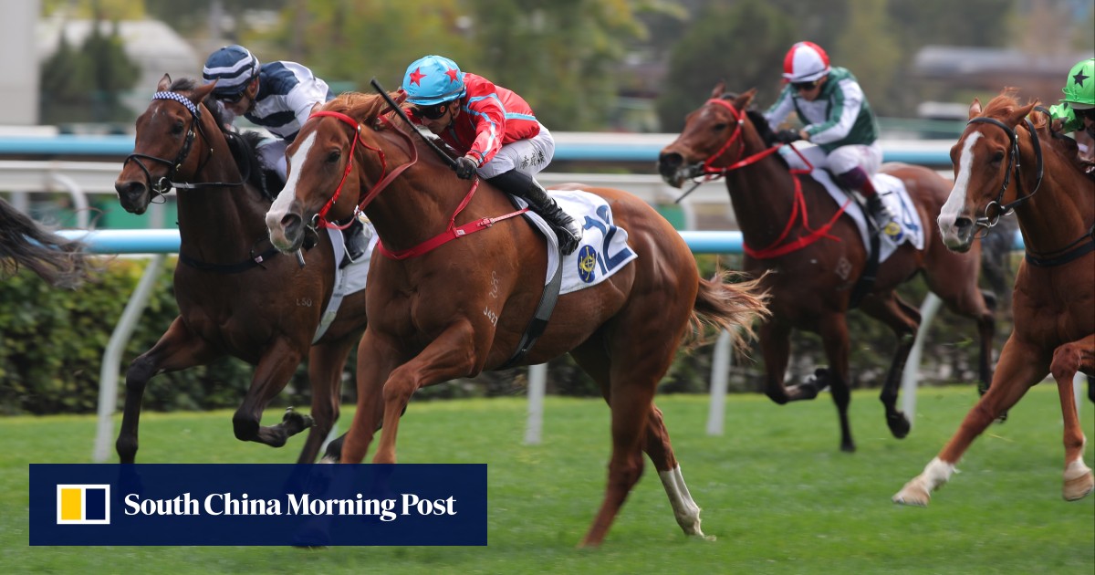 Lyle Hewitson and championship-leading trainer Danny Shum combine at ...