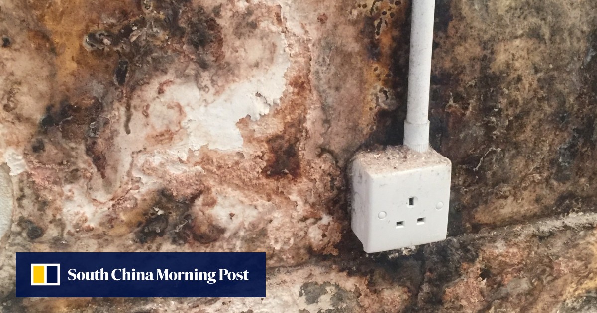 The serious health dangers of mould, and how to stop it taking over ...