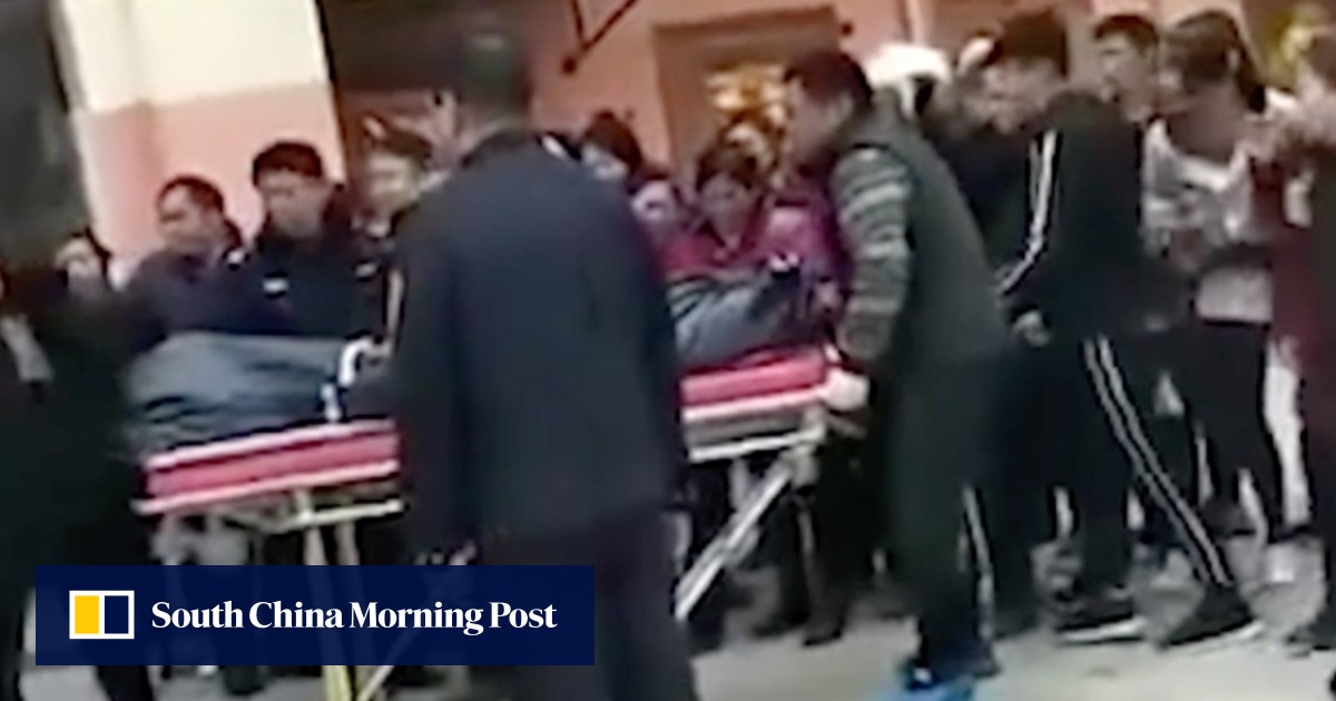 Chinese boy, 13, arrested for hacking his mother to death after they ...