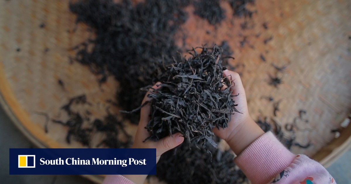 The Kardashians love it, so does Mick Jagger – tea and its amazing ...