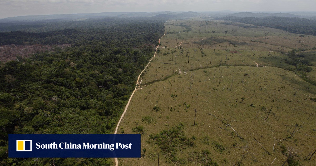 US-China trade war ‘imperils’ Amazon forest, experts warn | South China ...