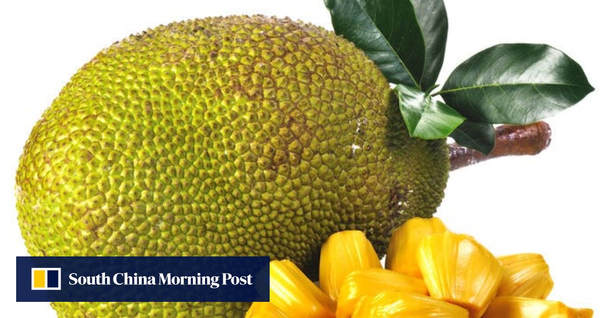 ‘Asia loves jackfruit’: Britain's Guardian newspaper told to stop ...
