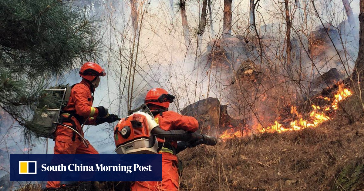 Deadly forest blaze in China sparks debate over numbers and training of ...