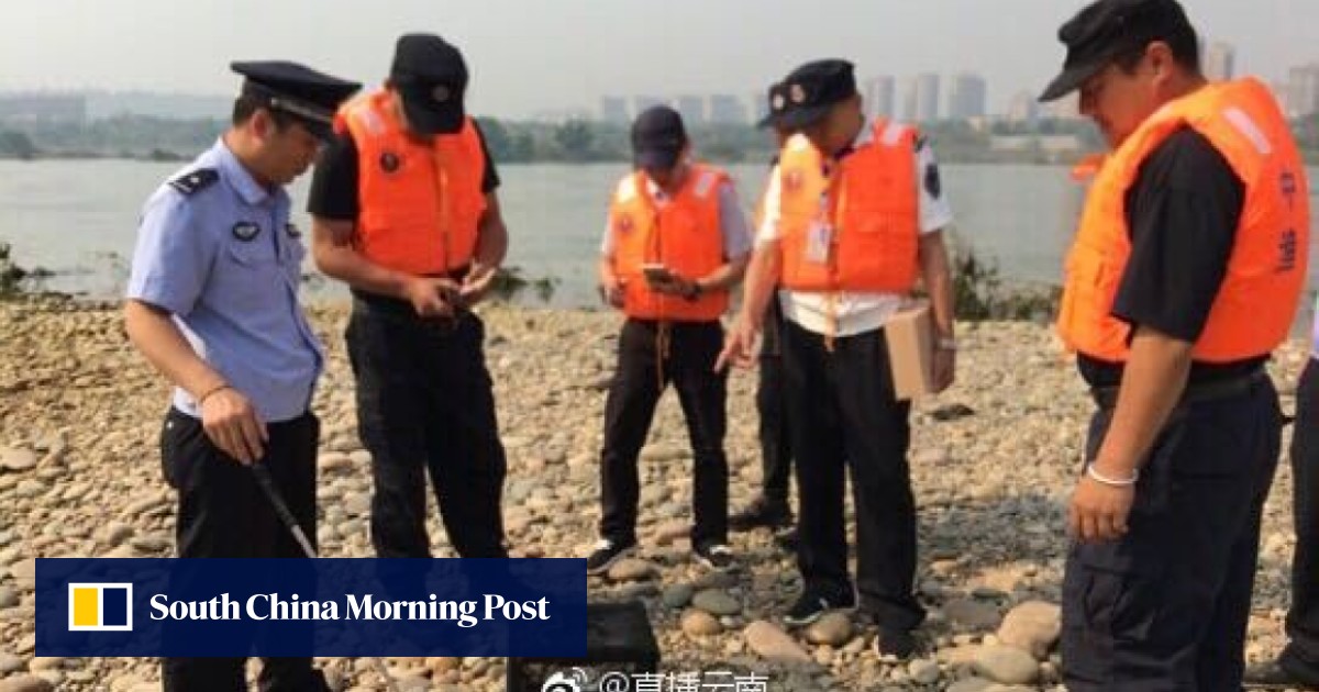 Chinese property developer who freed snakes for good luck ends up in ...