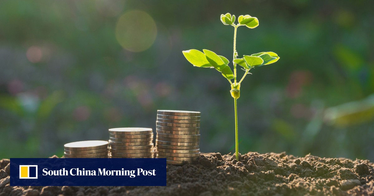 Global investors to fully adopt green investments by 2030 as trend ...