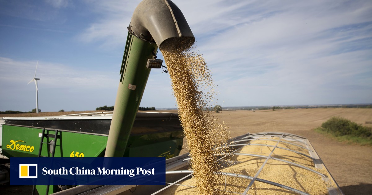 China ‘regrets’ WTO ruling after losing grain import quota case brought ...