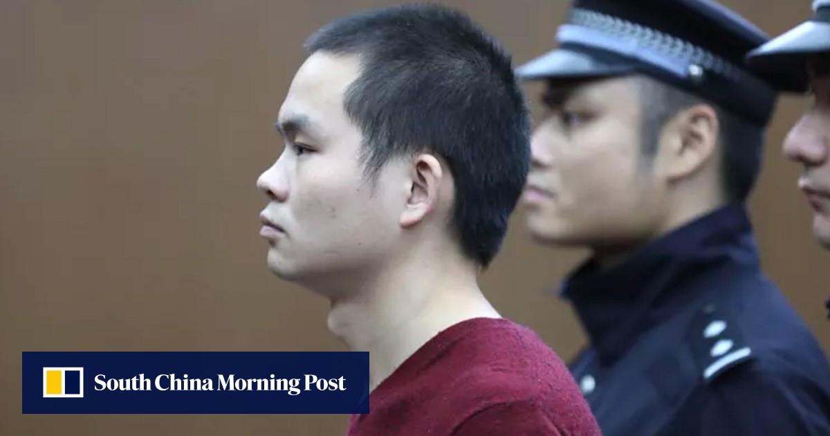 Murder in the late afternoon: safety debate over killing of Chinese ...