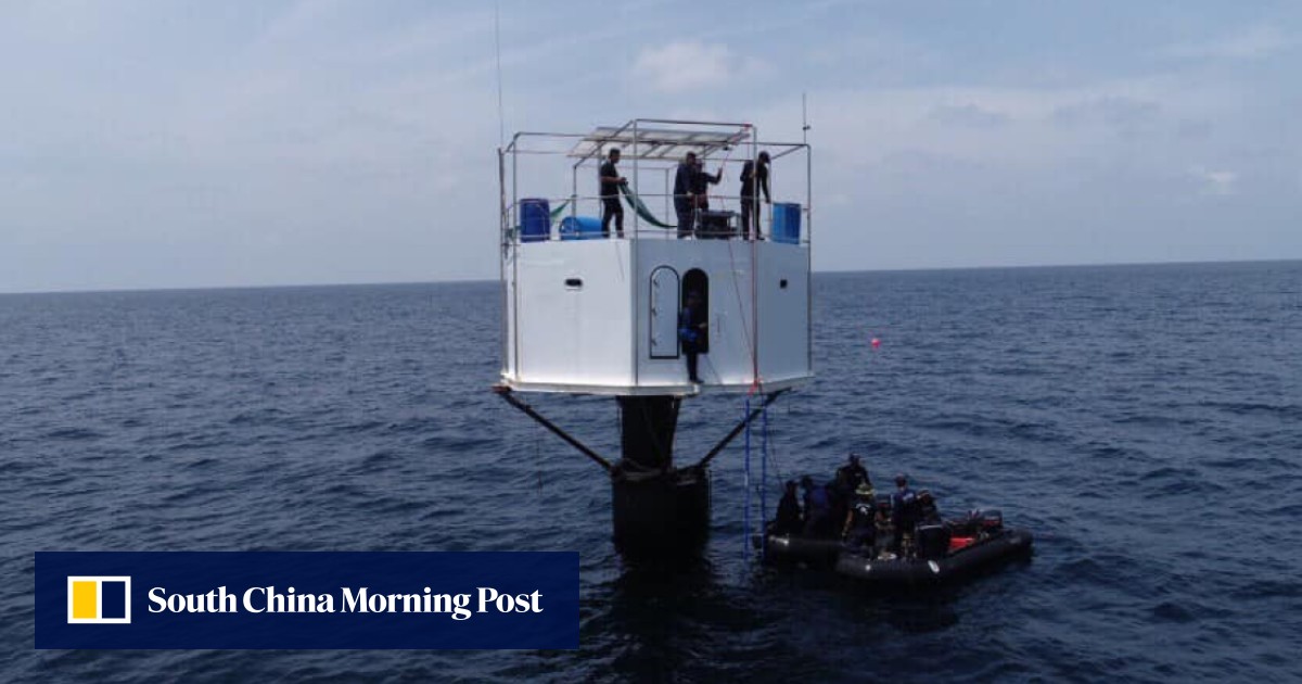 ‘Seasteading’ couple Nadia Summergirl and Chad Elwartowski face arrest ...