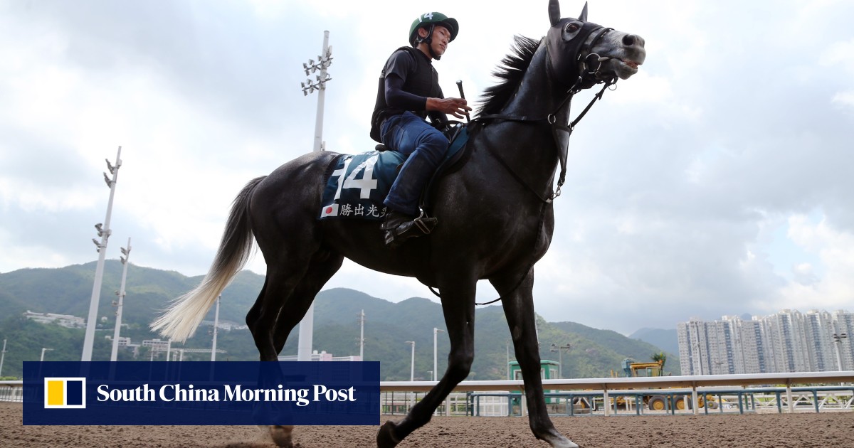 After a false start, Japan’s Win Bright ready for Hong Kong raid | HK ...