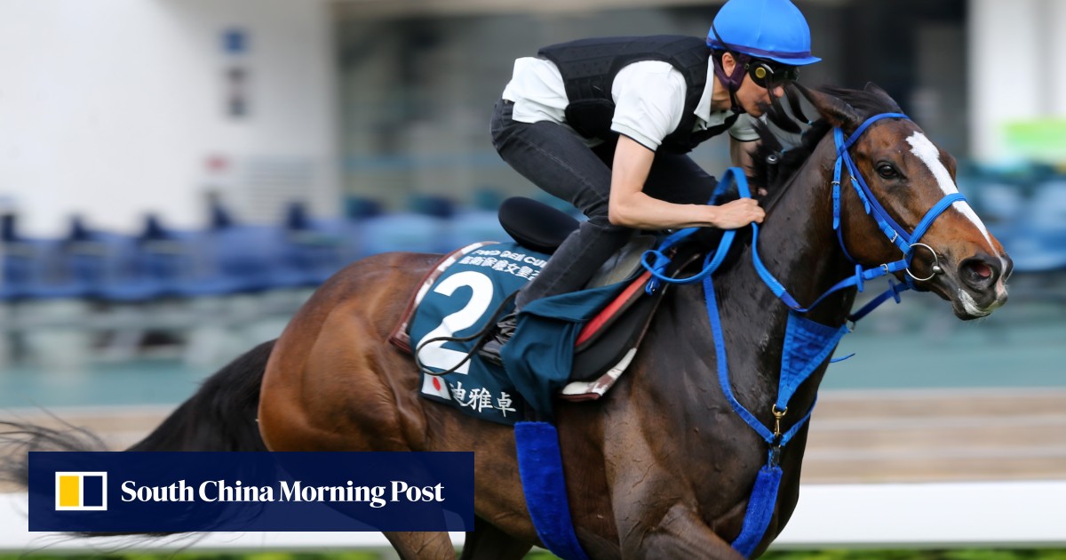 Yutaka Take and Mitsuru Hashida out to fix overseas anomaly with ...