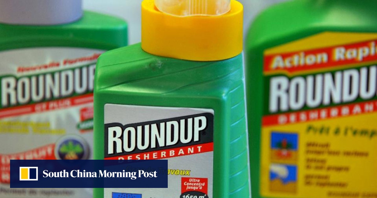 France probes pesticide maker Monsanto over ‘influence list’ | South ...