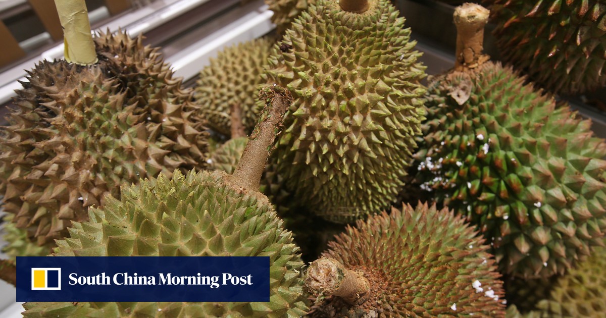 Australian library evacuated after the smell of durian was mistaken for ...
