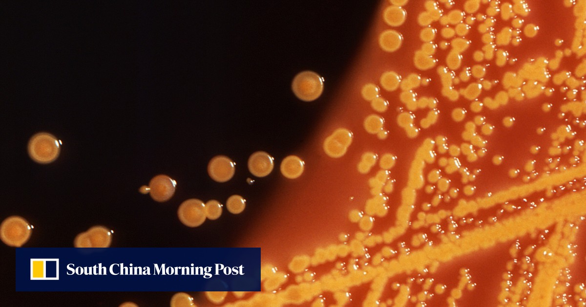 Scientists create world’s first living organism using radically ...