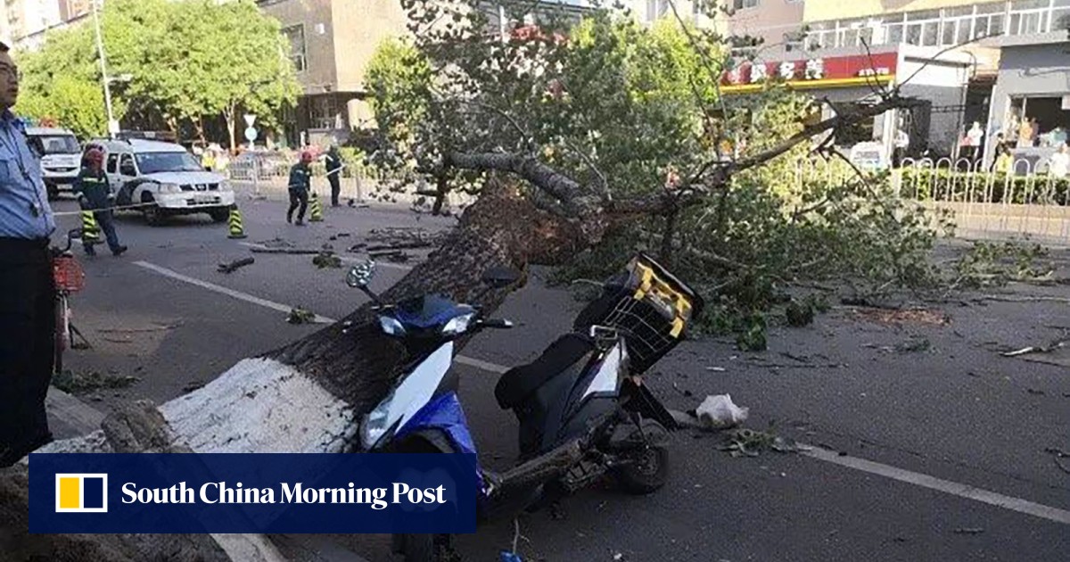 Four killed as strong winds batter Beijing | South China Morning Post