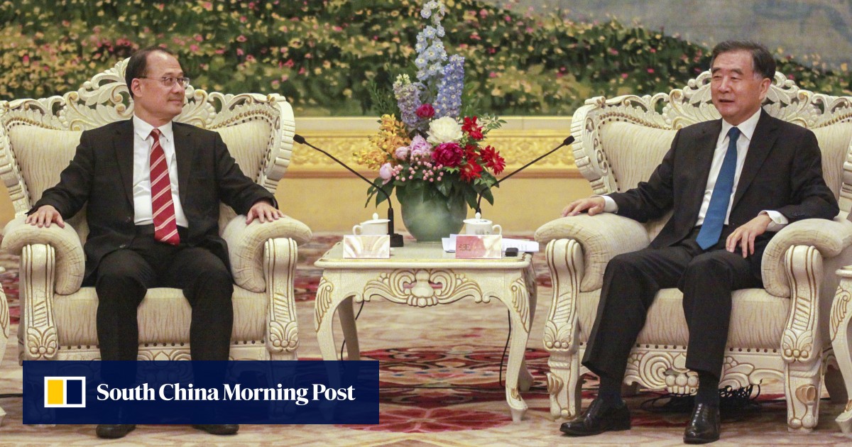 Top Chinese official Wang Yang tells Hong Kong business delegation to ...