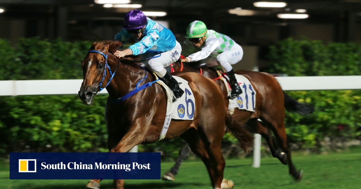 Jimmy Ting reaches new heights with Yee Cheong Baby as youngsters start ...