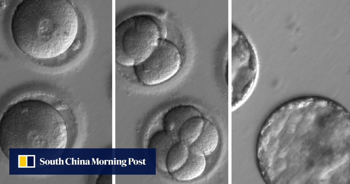 Gene-editing breakthrough in China comes with urgent call for global ...