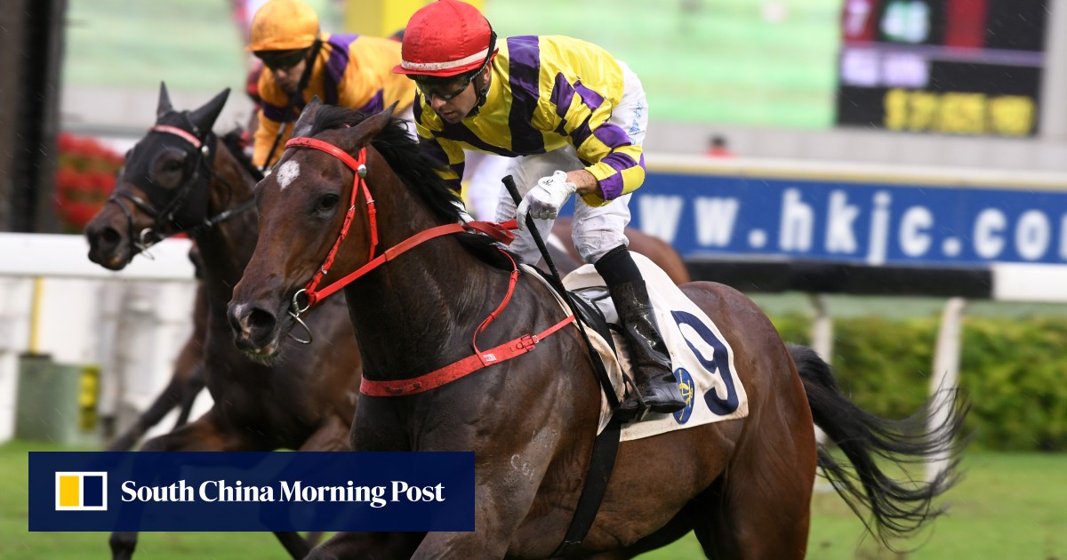 Champion’s Way caps off near-perfect season and stakes claim for early ...