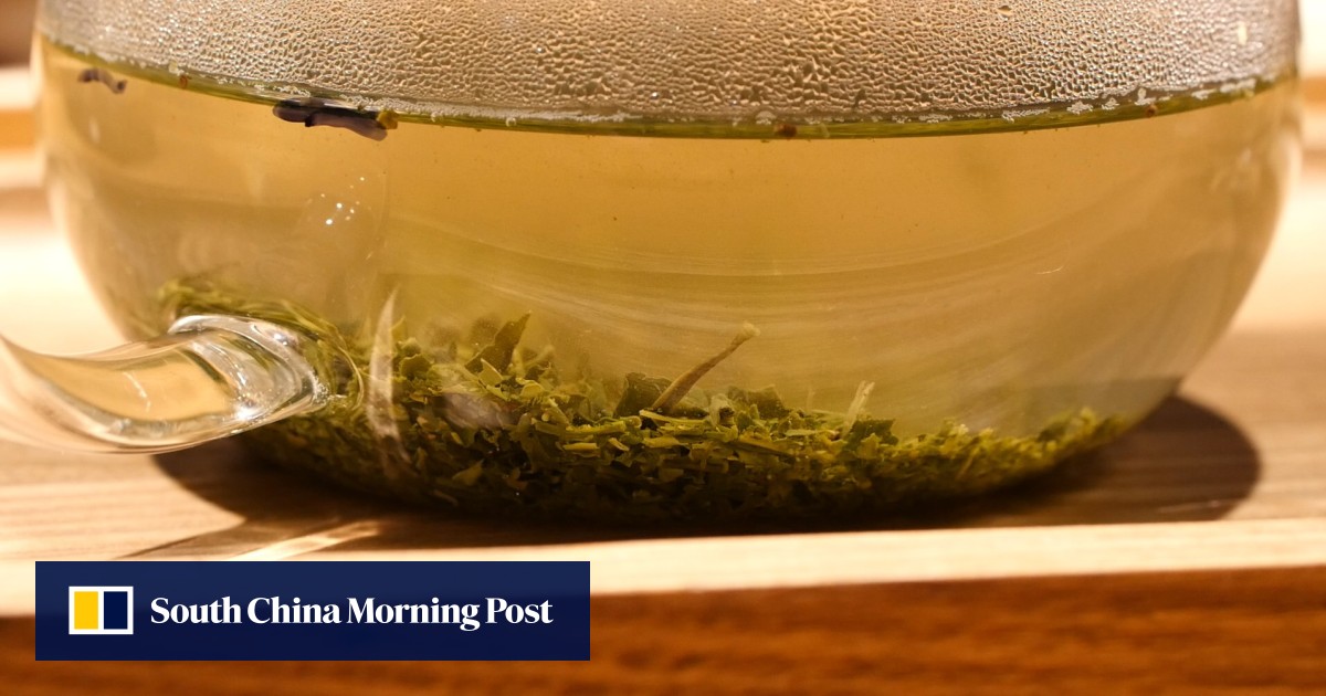 Today I learned: you don't have to be an expert to make the perfect cup ...