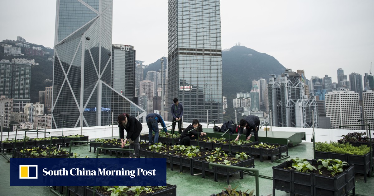 How urban farms could solve our future food problems and promote a ...