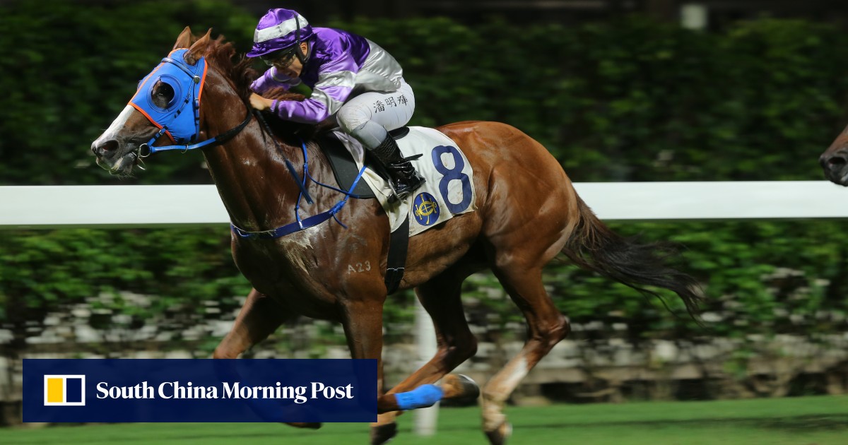 Jimmy Ting makes the most of Conghua move as Applause rings out at ...