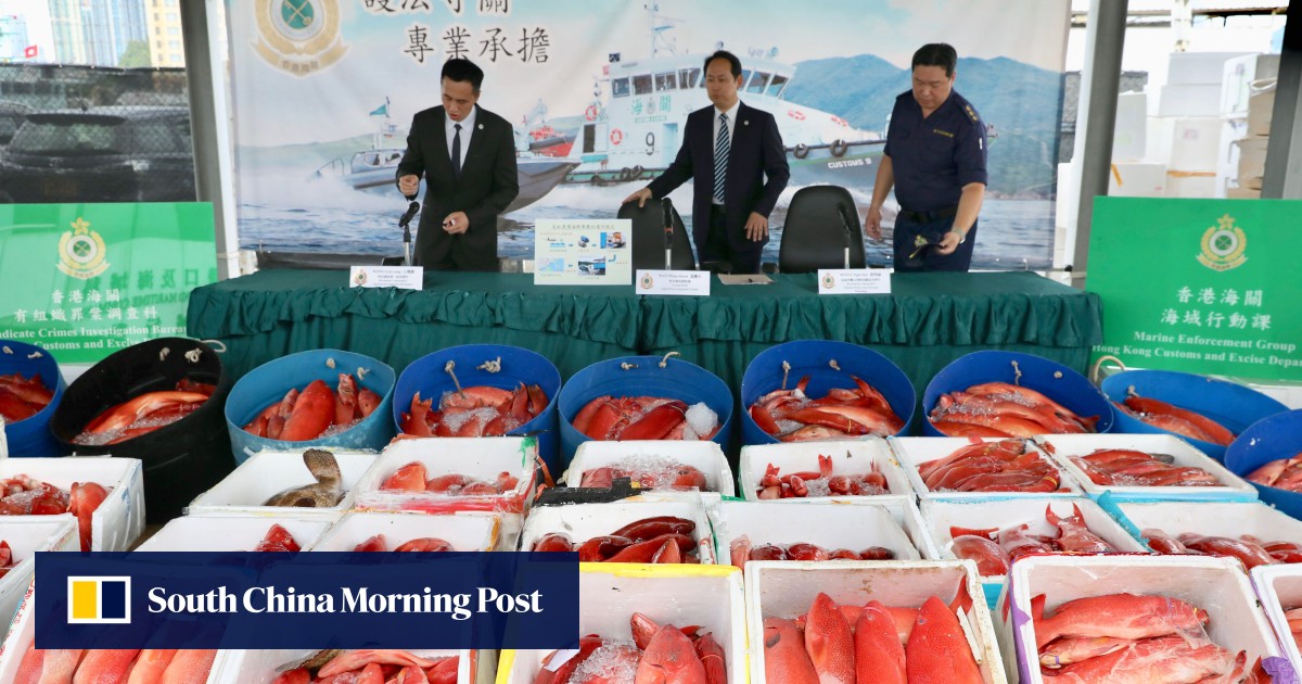 A tax-dodging gang was using speedboats to smuggle tonnes of fish into ...