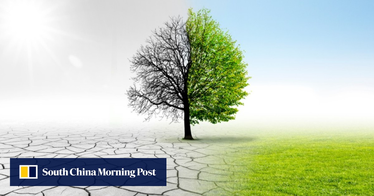 Best climate change fiction books, from The Overstory to Flight ...