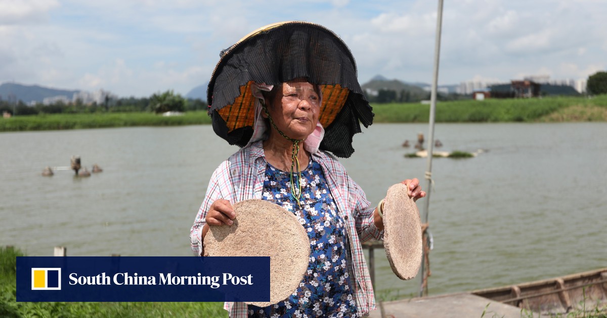 How can you honour the Good Samaritans making a difference in lives of ...