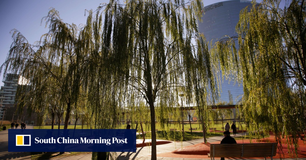 Best way to fight climate change? Plant a trillion trees | South China ...