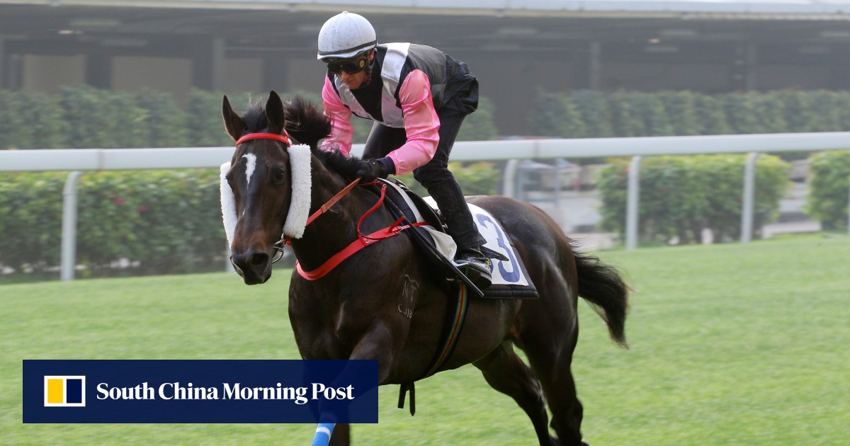 Zac Purton looks to young Beauty to provide the Spark in pursuit of ...