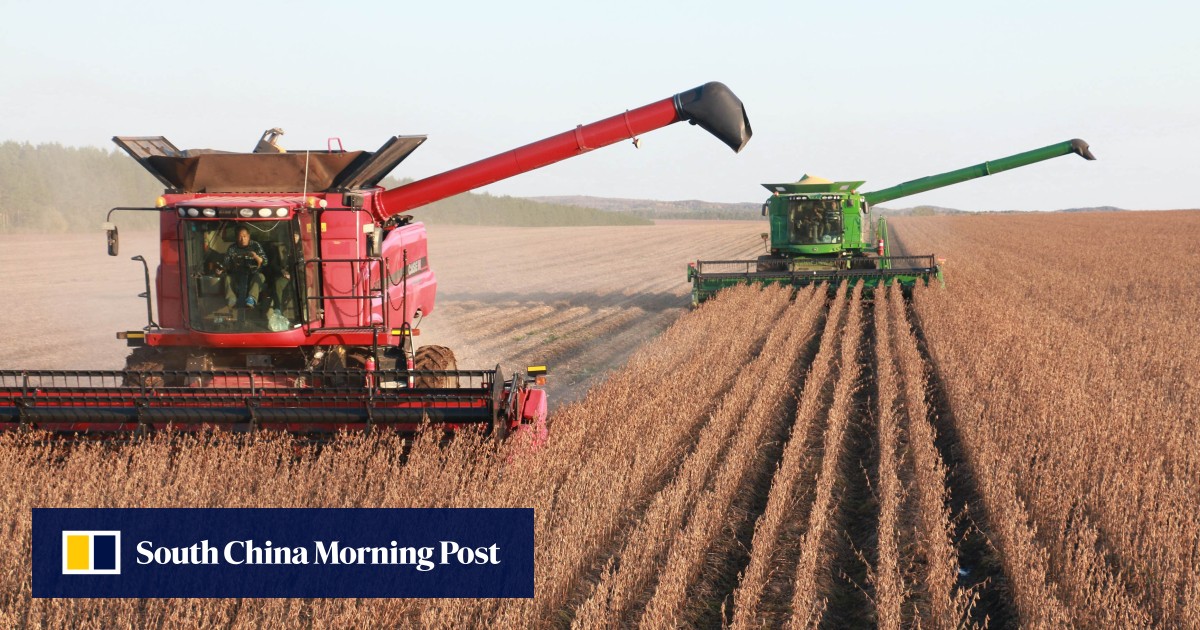 Chinese scientists develop gene-edited soybean that can grow in warmer ...