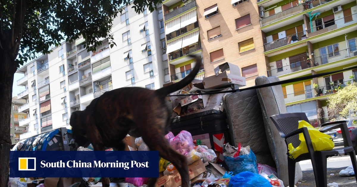 Eternally stinky city? Rats feast on garbage in Rome as trash crisis ...