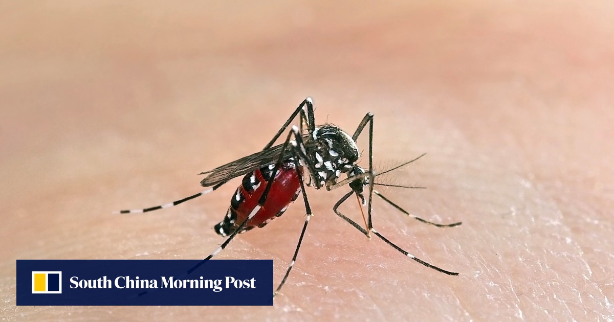 Chinese scientists’ new technique to wipe out mosquito populations may ...