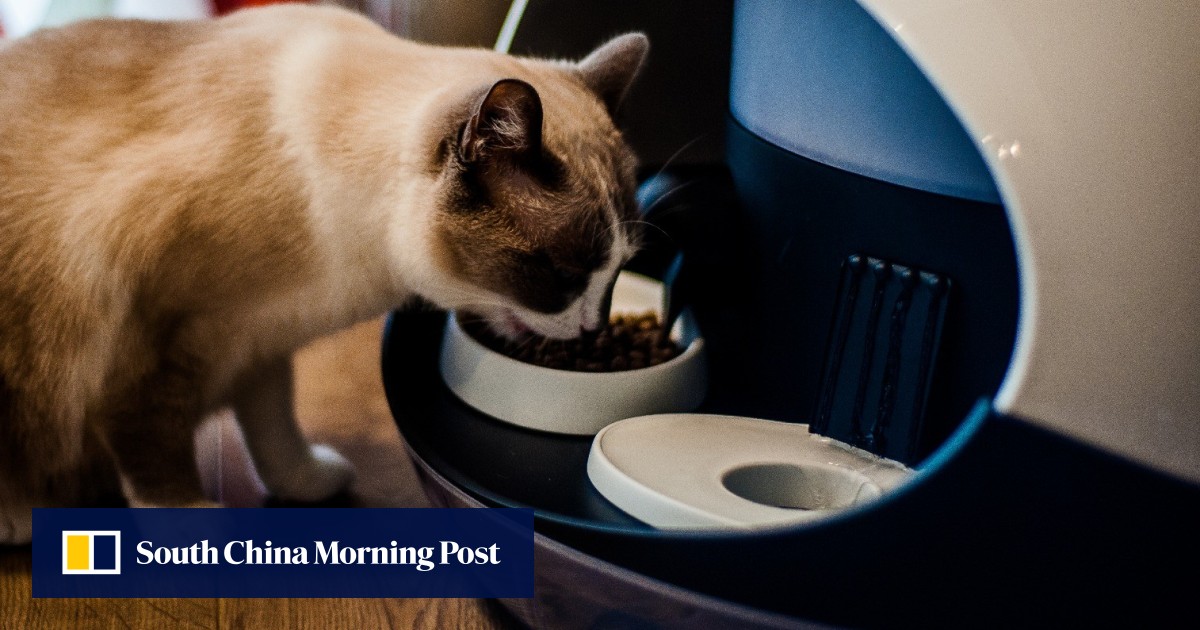 Four smart home innovations for peace of mind on your travels – to feed ...