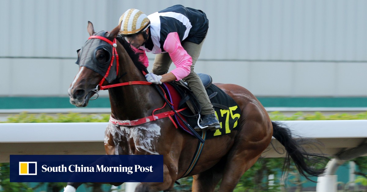 John Size debuts exciting former Godolphin galloper with ‘extravagant ...