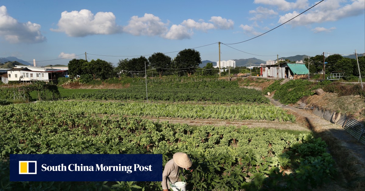 Exclusive | Henderson offers 1 million sq ft of Fanling farmland for ...