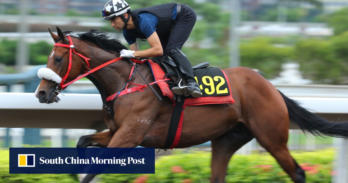 Danny Shum takes Playa Del Puente to Happy Valley in search of Derby ...