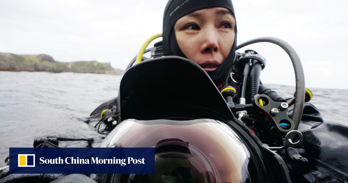 Chinese underwater filmmaker turns her lens on China to show what lives ...