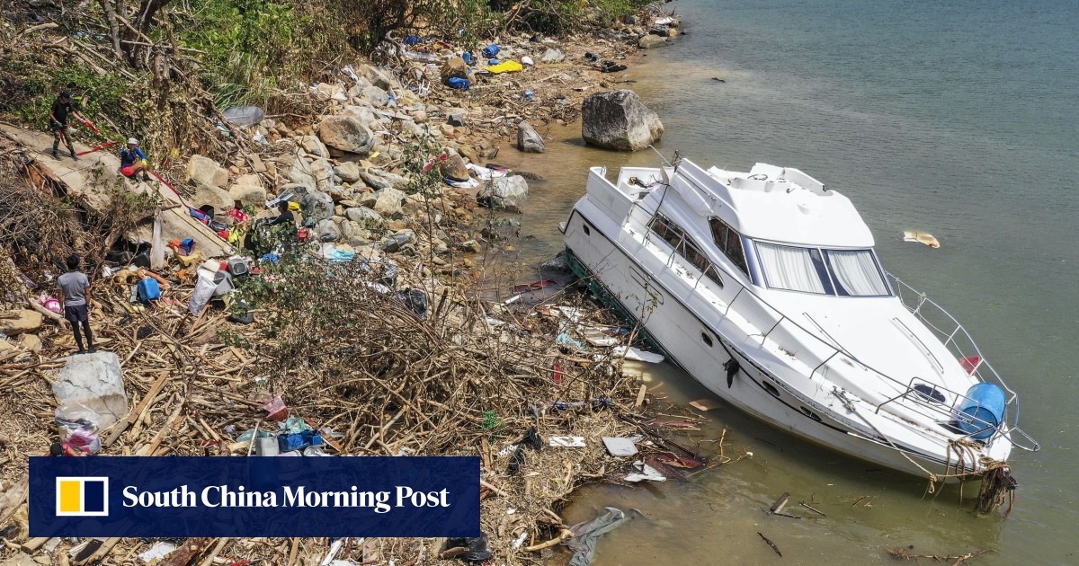 Hong Kong can step up fight against global warming by declaring a ...