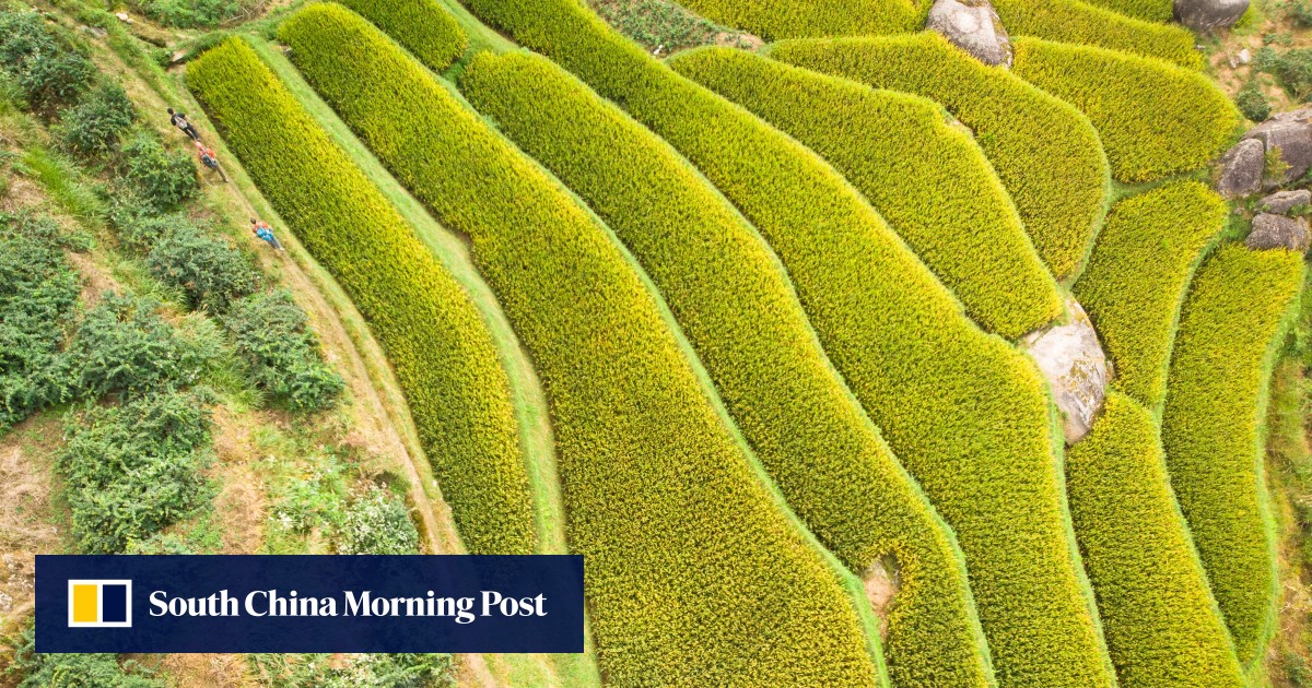 China’s first world-class hiking trail mapped out in Hunan’s Xuefeng ...