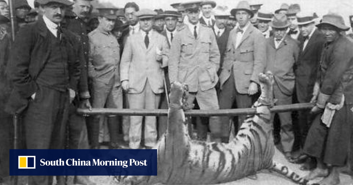 American hunter who hastened demise of the South China tiger, and how ...