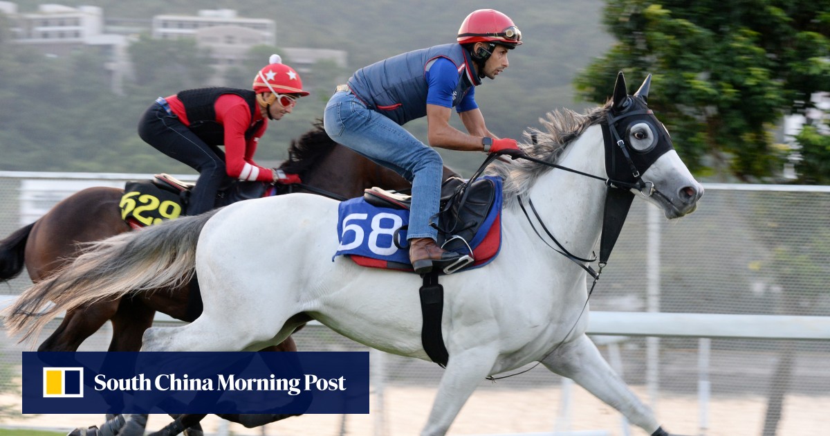Douglas Whyte’s The Weatherman shows off his stunning looks at Sha Tin ...