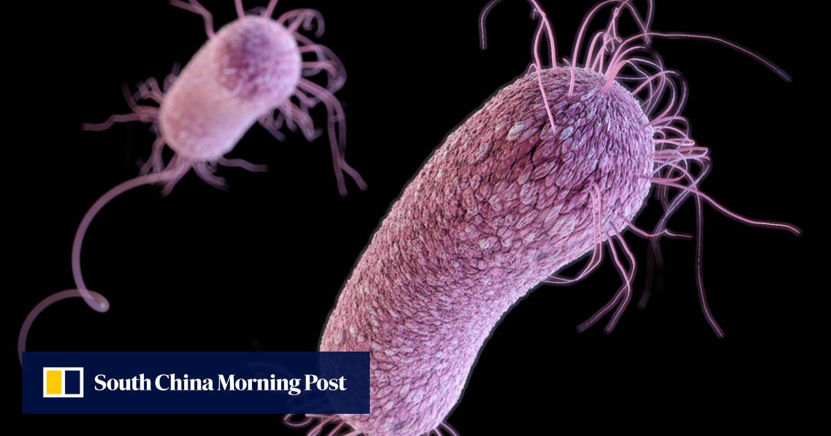 Hong Kong and Beijing scientists use gene editing to find cure for ...