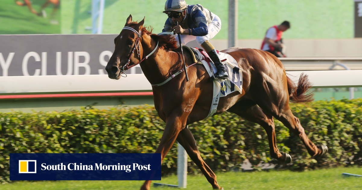 HKIR: Aethero out to become youngest Hong Kong Group One winner since ...